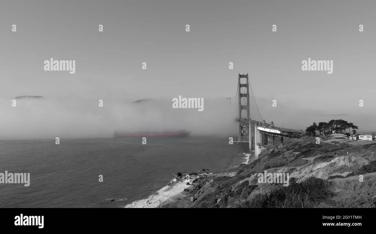 view of Golden Gate brige and Cypress trees from Battery Godfrey ...