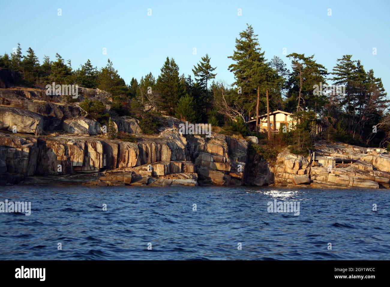View of coast with background of fir forest in Sunshine coast of ...