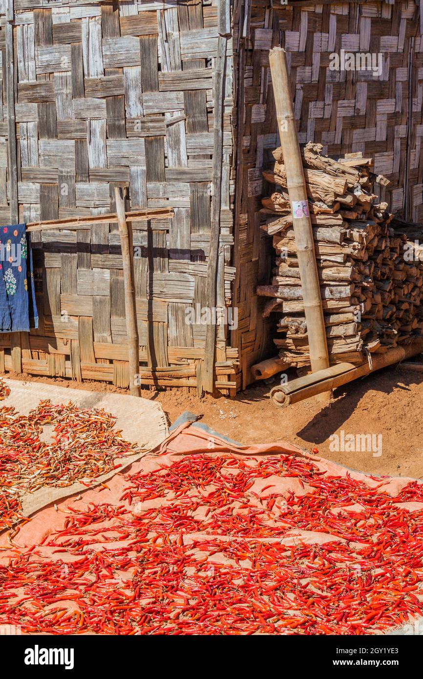 Drying chilli peppers in a village in the area between Kalaw and Inle ...