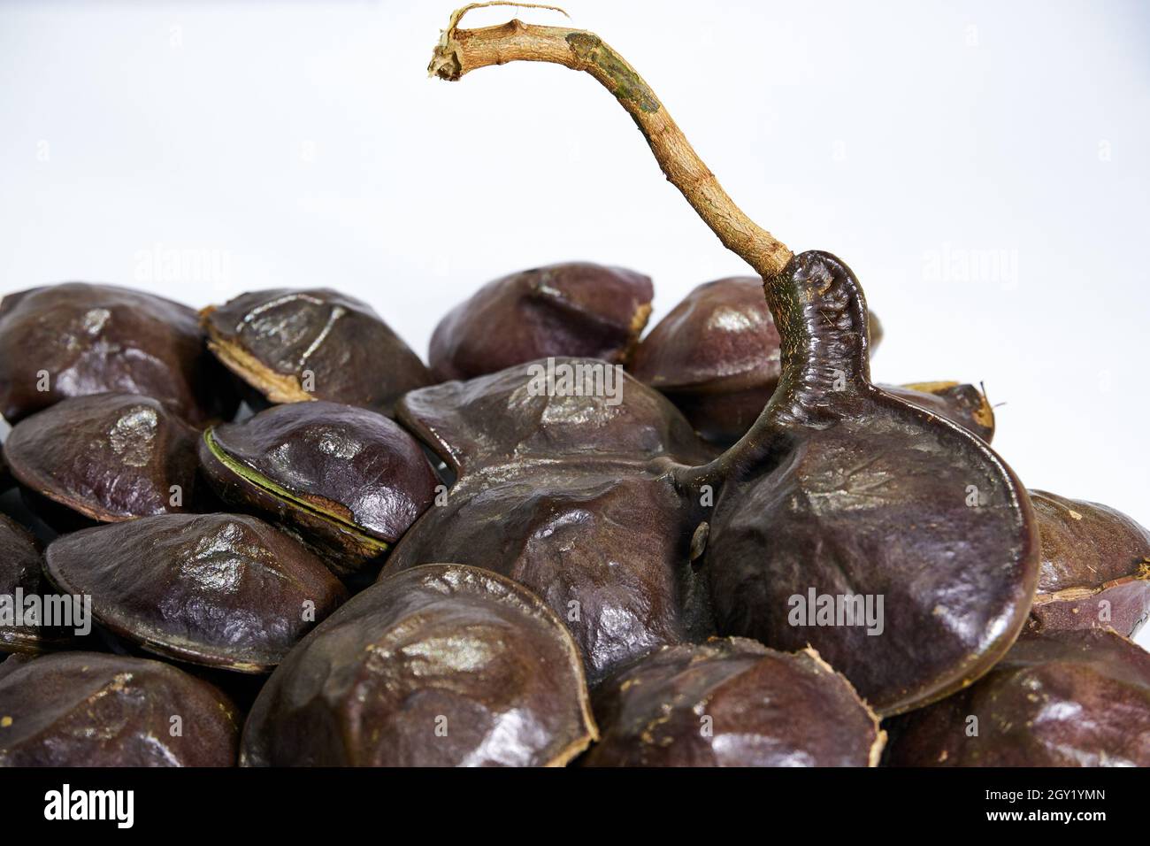 Jering hi-res stock photography and images - Alamy