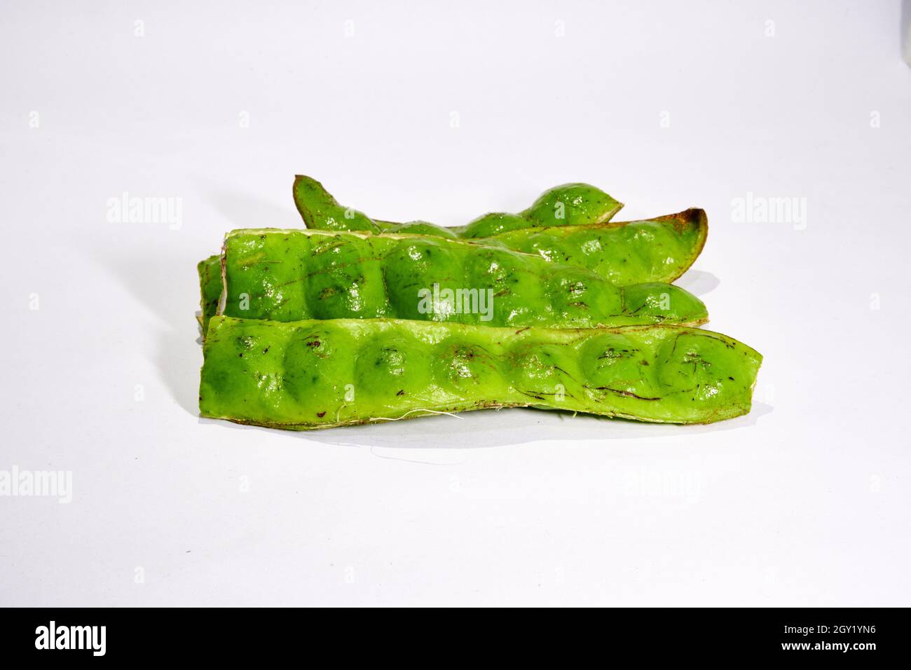 Fresh petai close-up. Petai is delicious eaten with sambal and rice ...