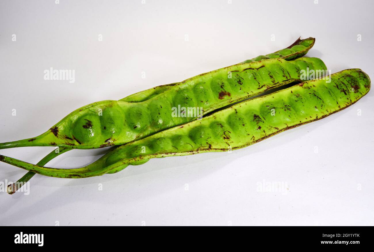 Fresh petai close-up. Petai is delicious eaten with sambal and rice ...