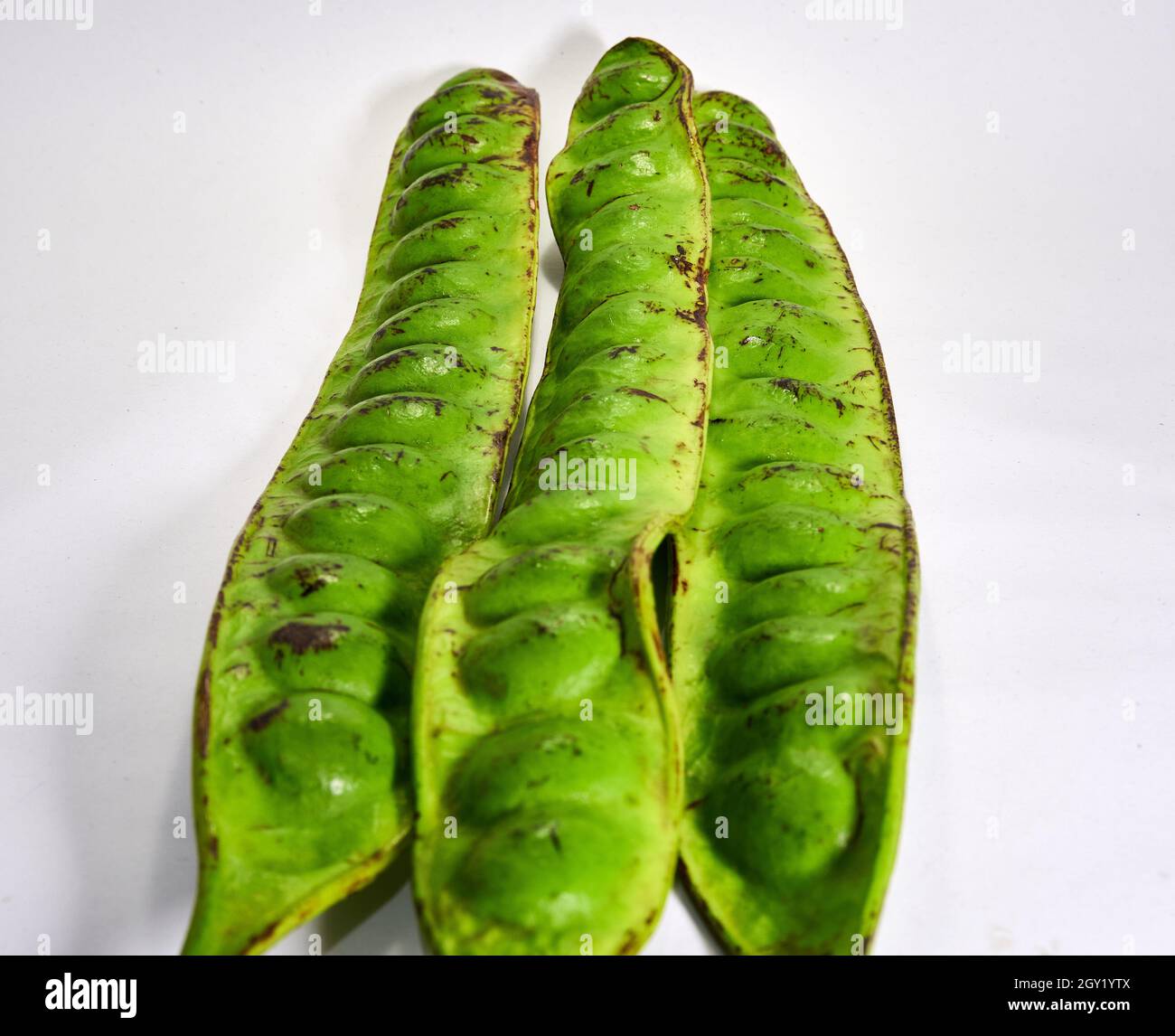 Fresh petai close-up. Petai is delicious eaten with sambal and rice ...