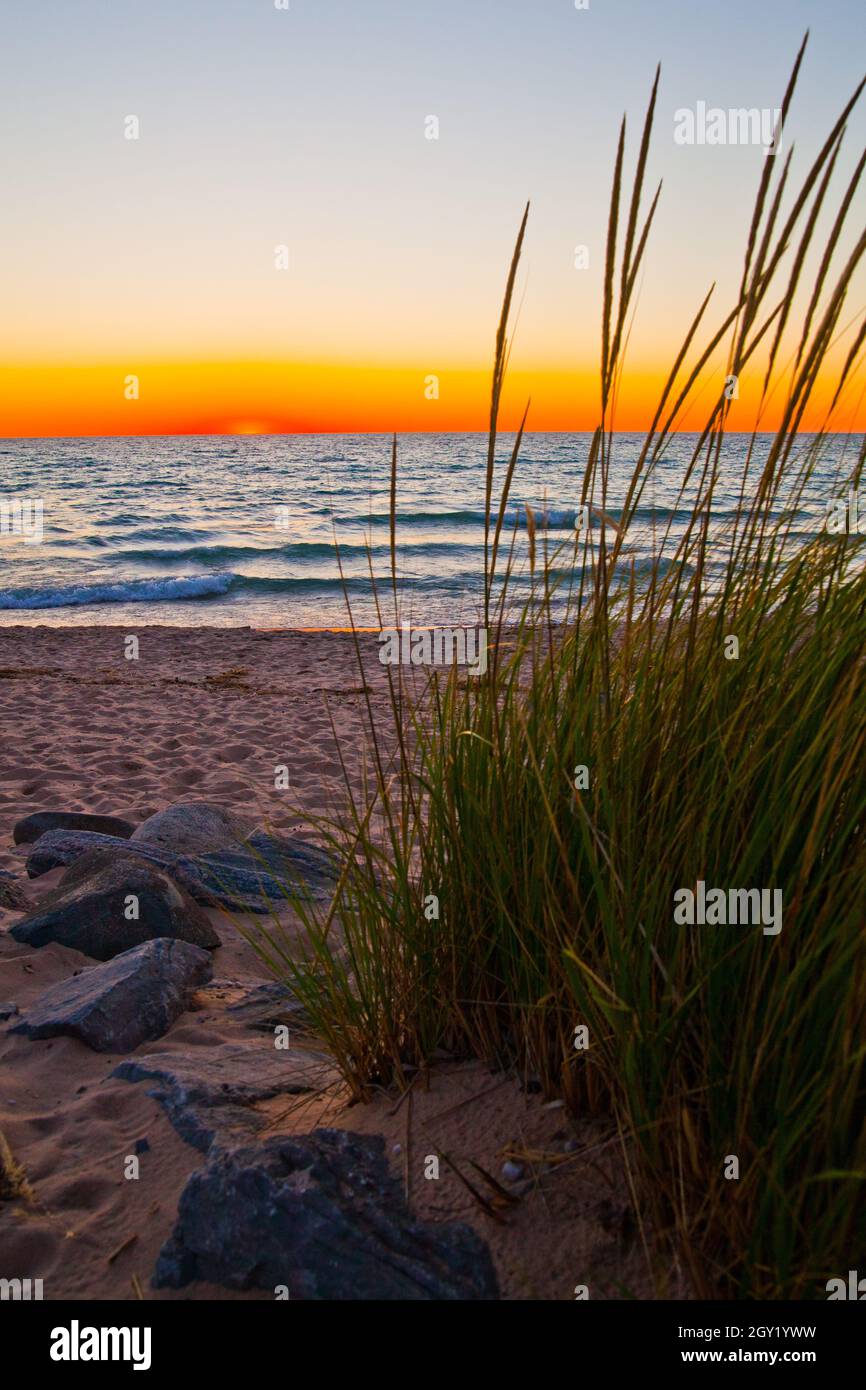 Peaceful view of sand dune reeds looking out over a lake at sunset ...