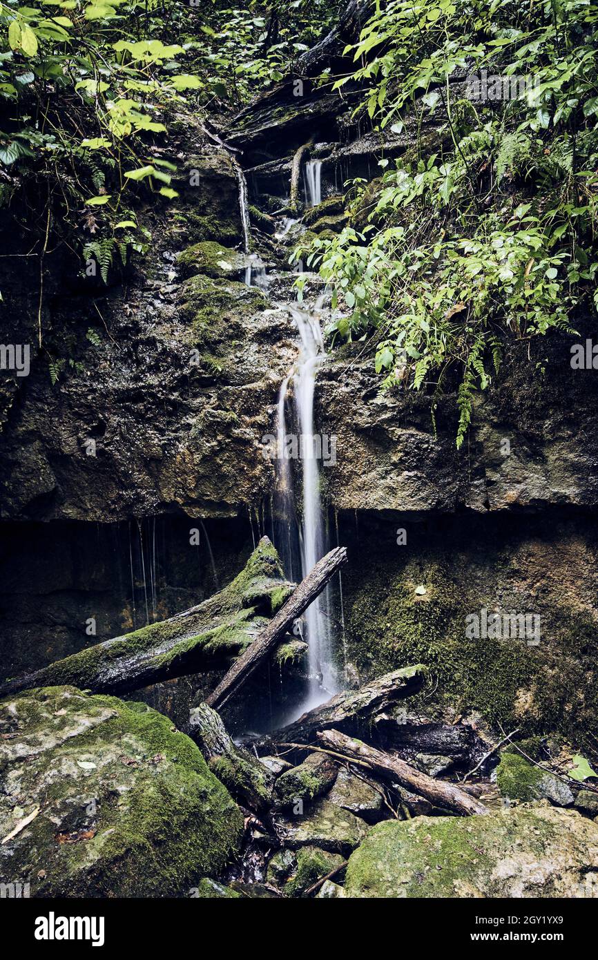 Mystical small waterfall over rocks into logs and boulders Stock Photo ...