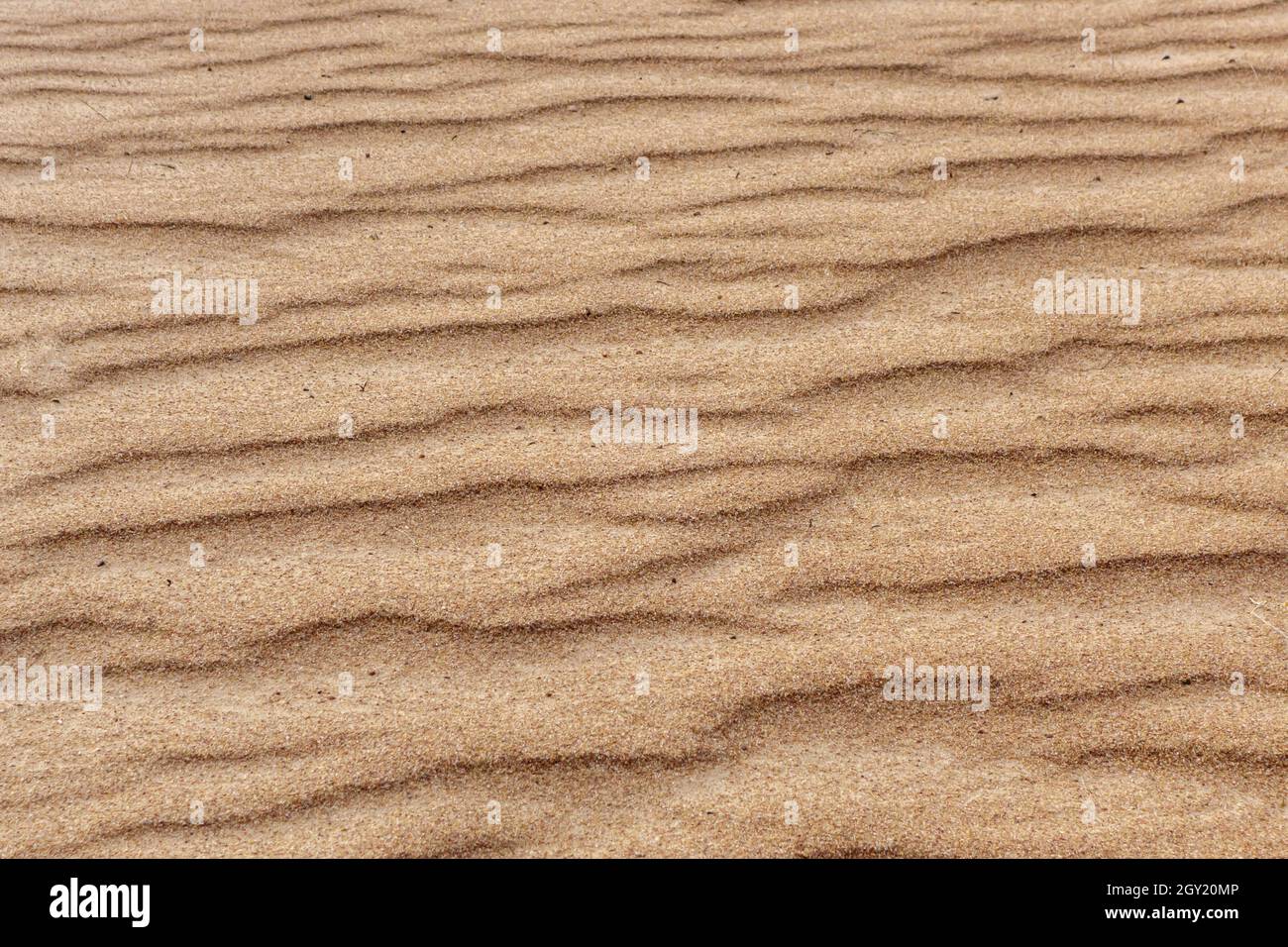 Brown wavy sand texture close up, beautiful natural natural background ...