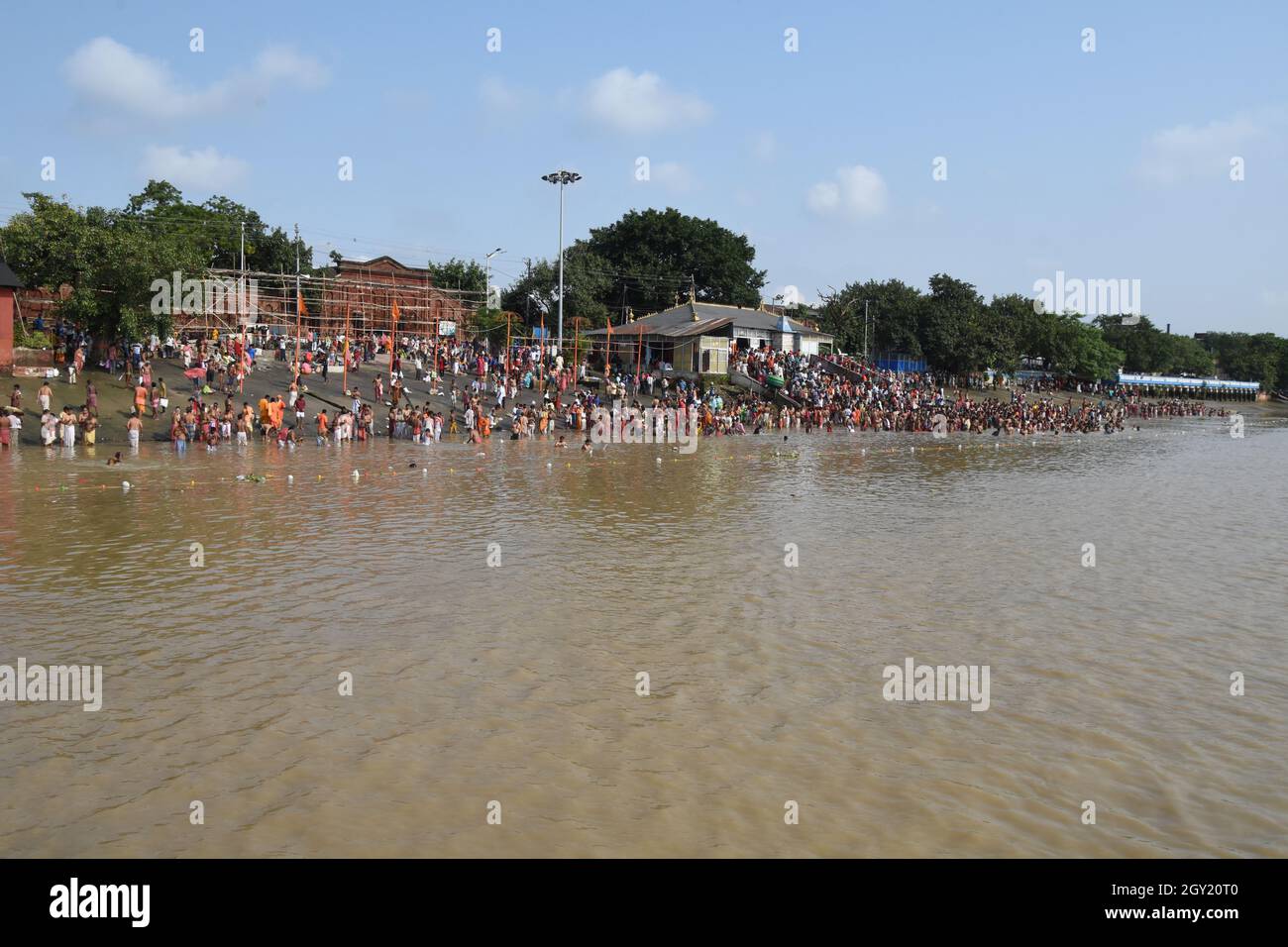 Tarpana hi-res stock photography and images - Alamy