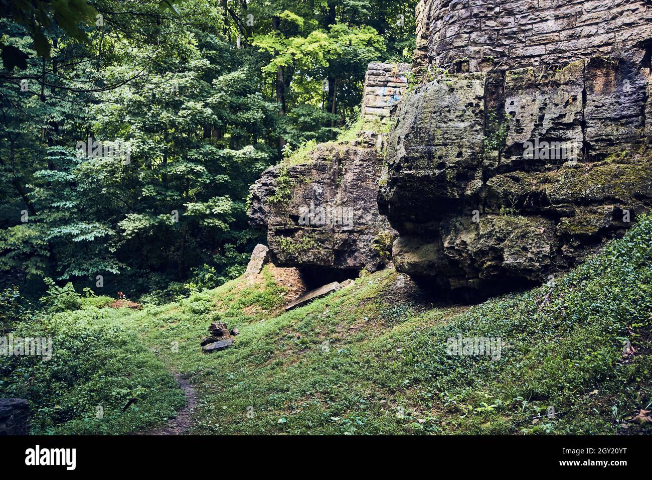 Forest and stone fence hi-res stock photography and images - Alamy