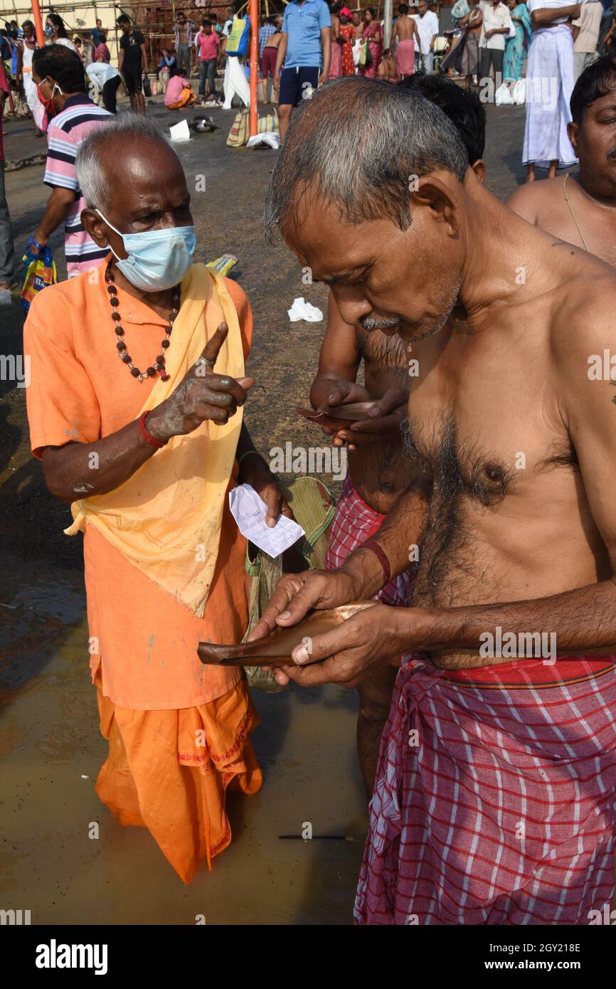 Tarpana hi-res stock photography and images - Alamy