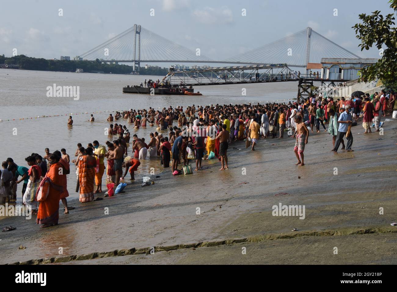 Tarpana hi-res stock photography and images - Alamy