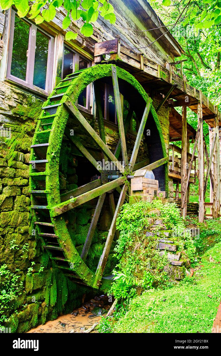 Watermill Water wheel on stream vertical covered in green moss Stock ...