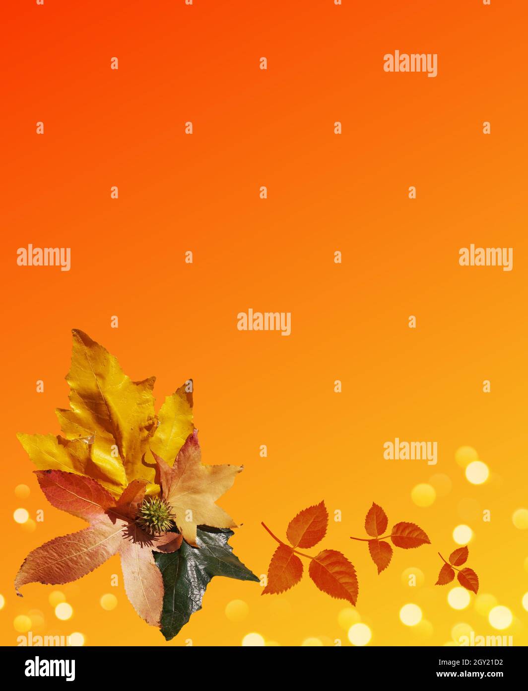 Autumn leaves frame with bokeh lights isolated in color gradient ...