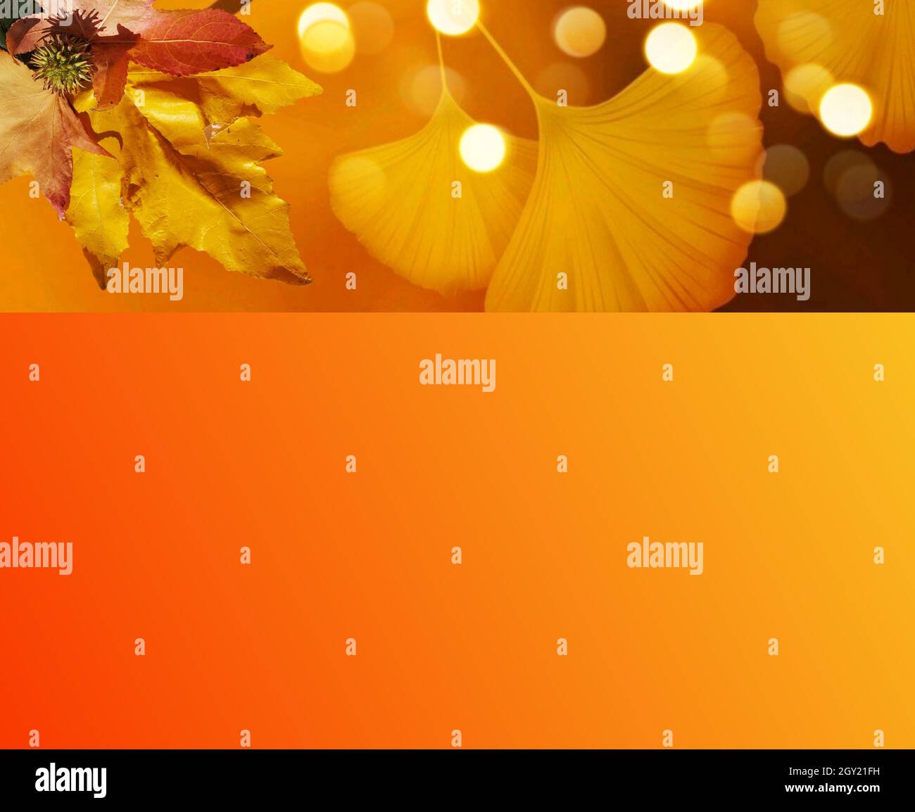 Autumn leaves frame with bokeh lights isolated in color gradient ...