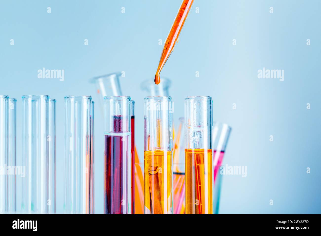 Laboratory test tubes with red and yellow liquids on light blue ...