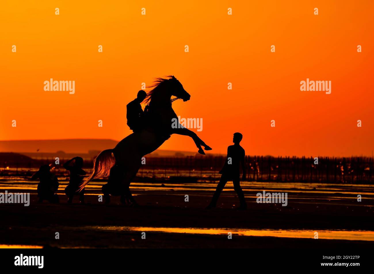 A man riding a horse Stock Photo - Alamy