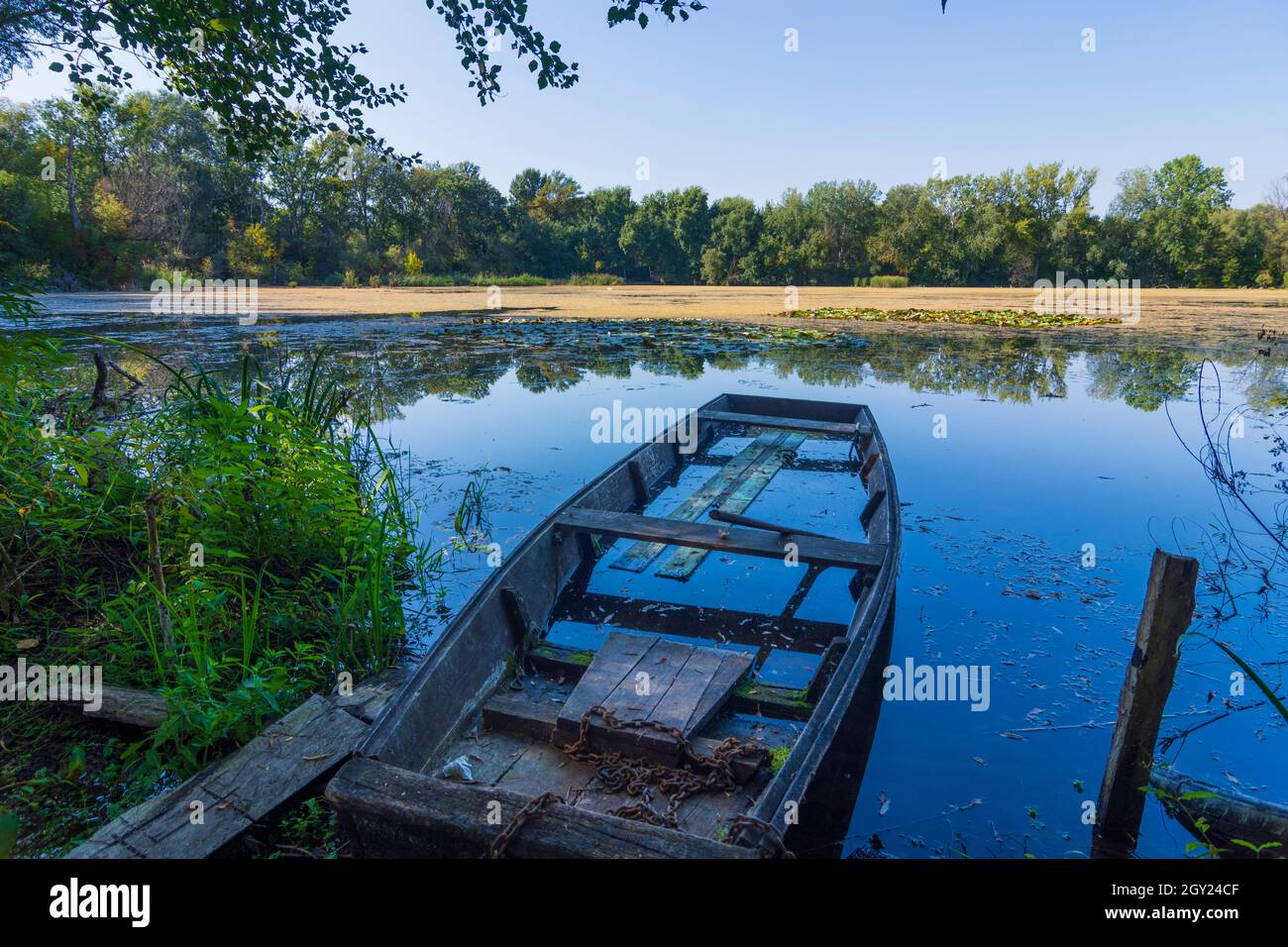 Zitny ostrov (Great Rye Island, Große Schüttinsel): anabranch, arm of ...