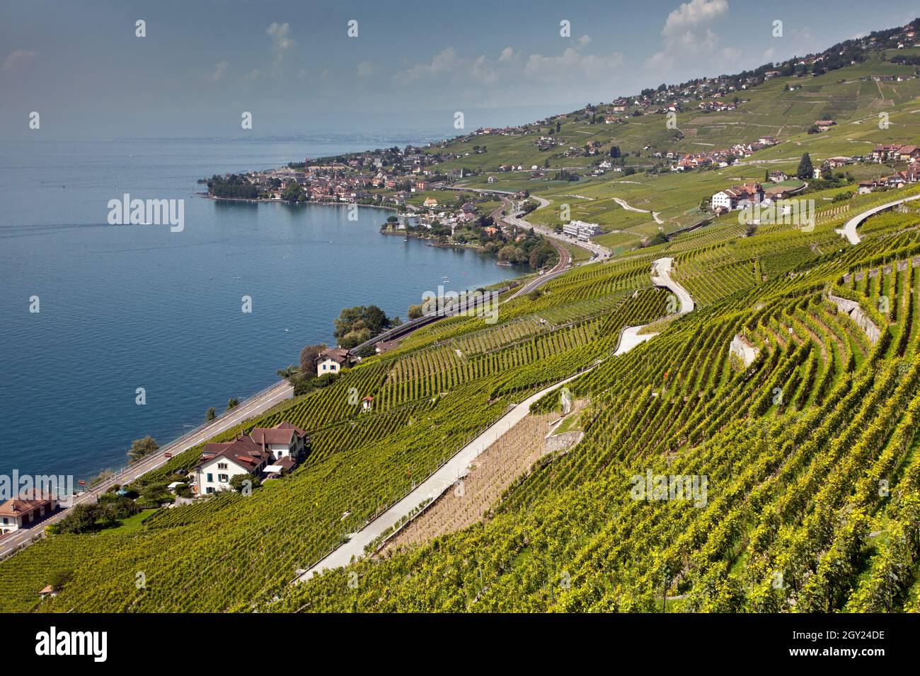 Lavaux Vineyard Terraces Stock Photo - Alamy