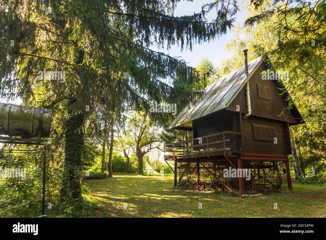 Zitny ostrov (Great Rye Island, Große Schüttinsel): anabranch, arm of ...