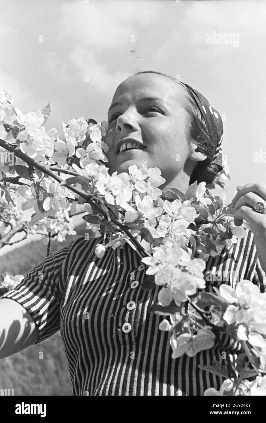 Kirsche Black and White Stock Photos & Images - Alamy