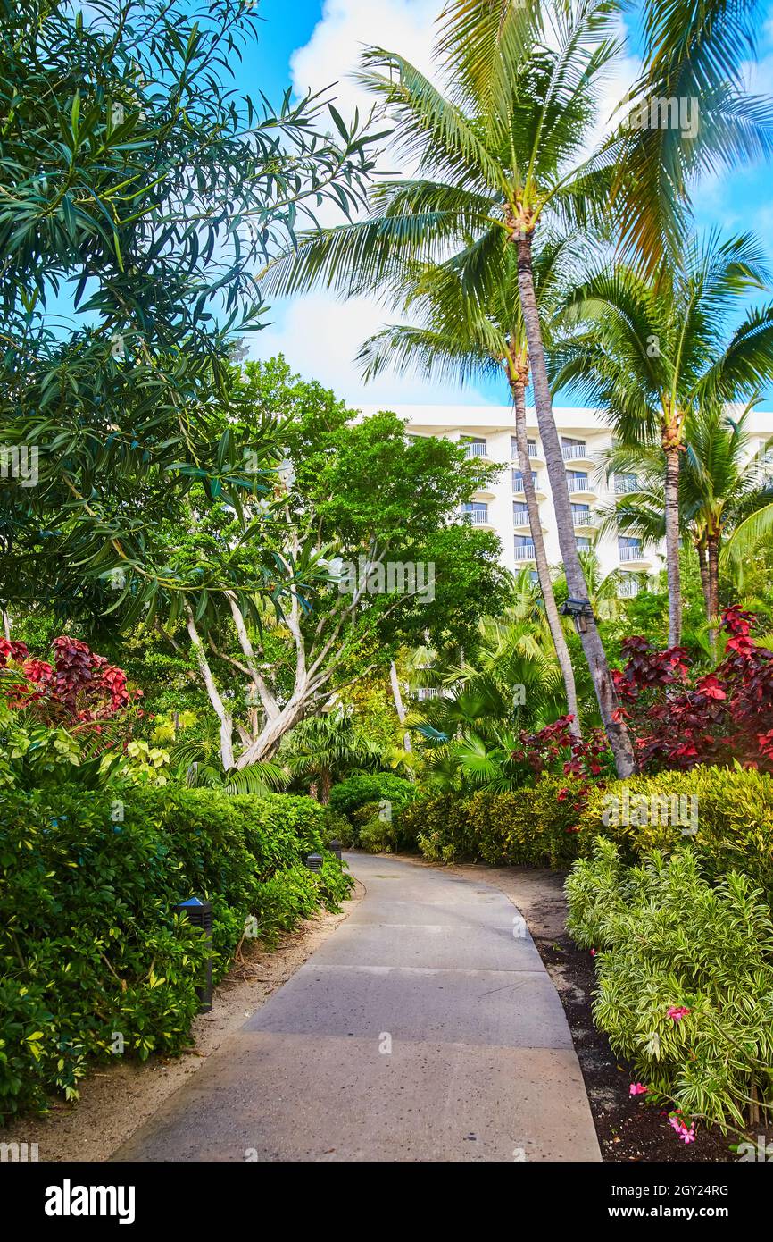 Walkway through tropical gardens Stock Photo - Alamy
