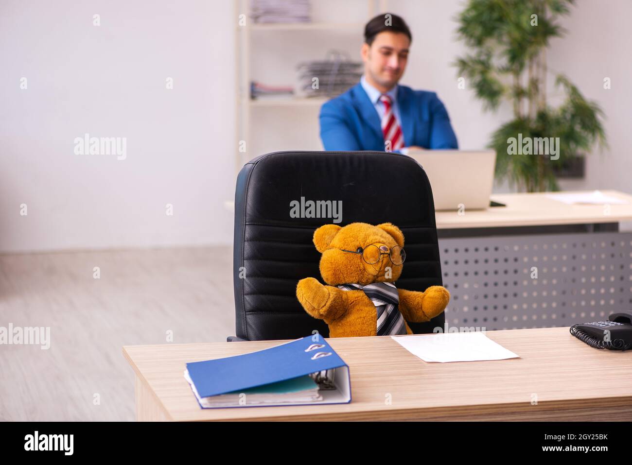 Young employee and his toy bear boss in funny concept Stock Photo - Alamy