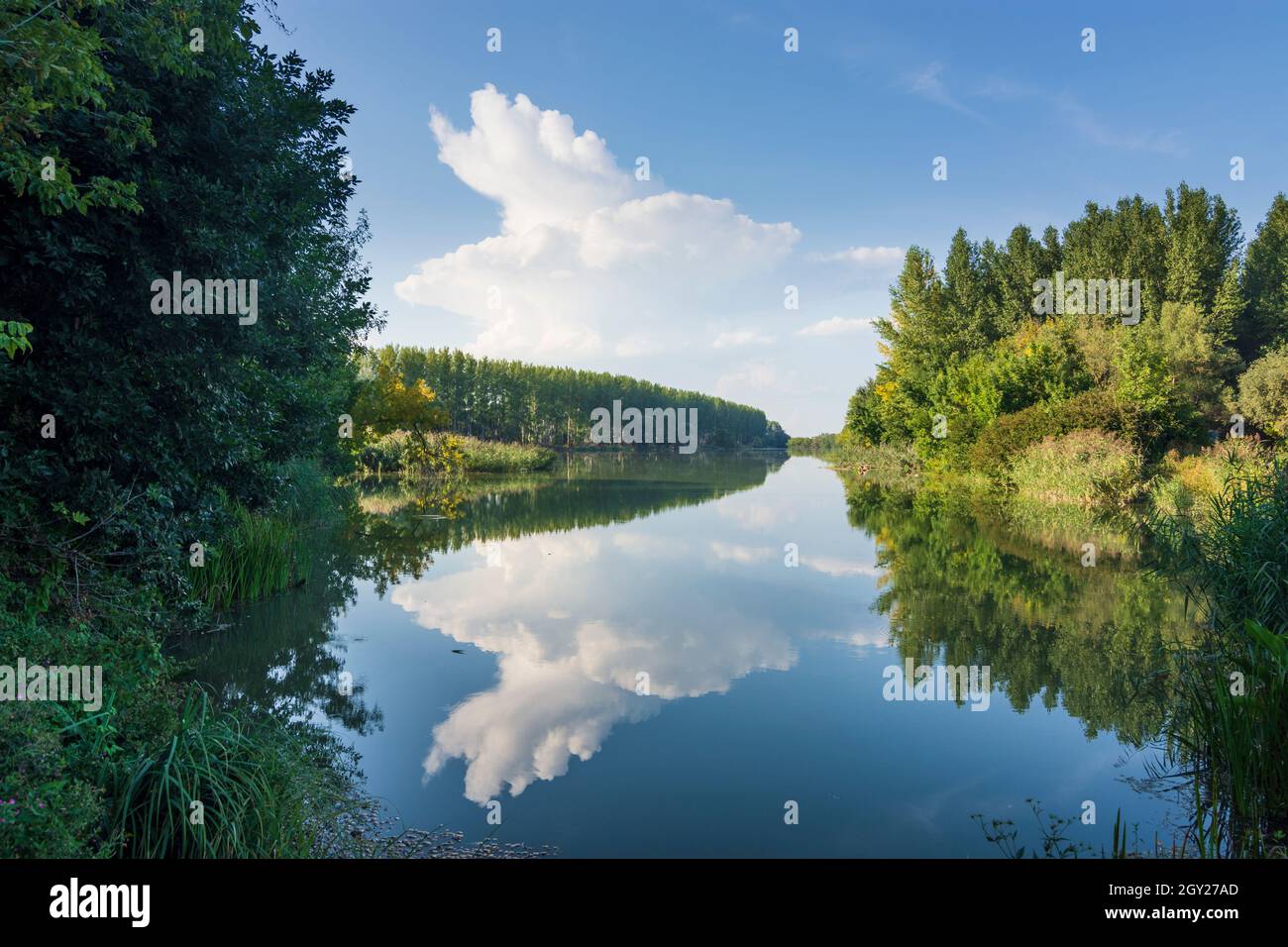 Great anabranch hi-res stock photography and images - Alamy