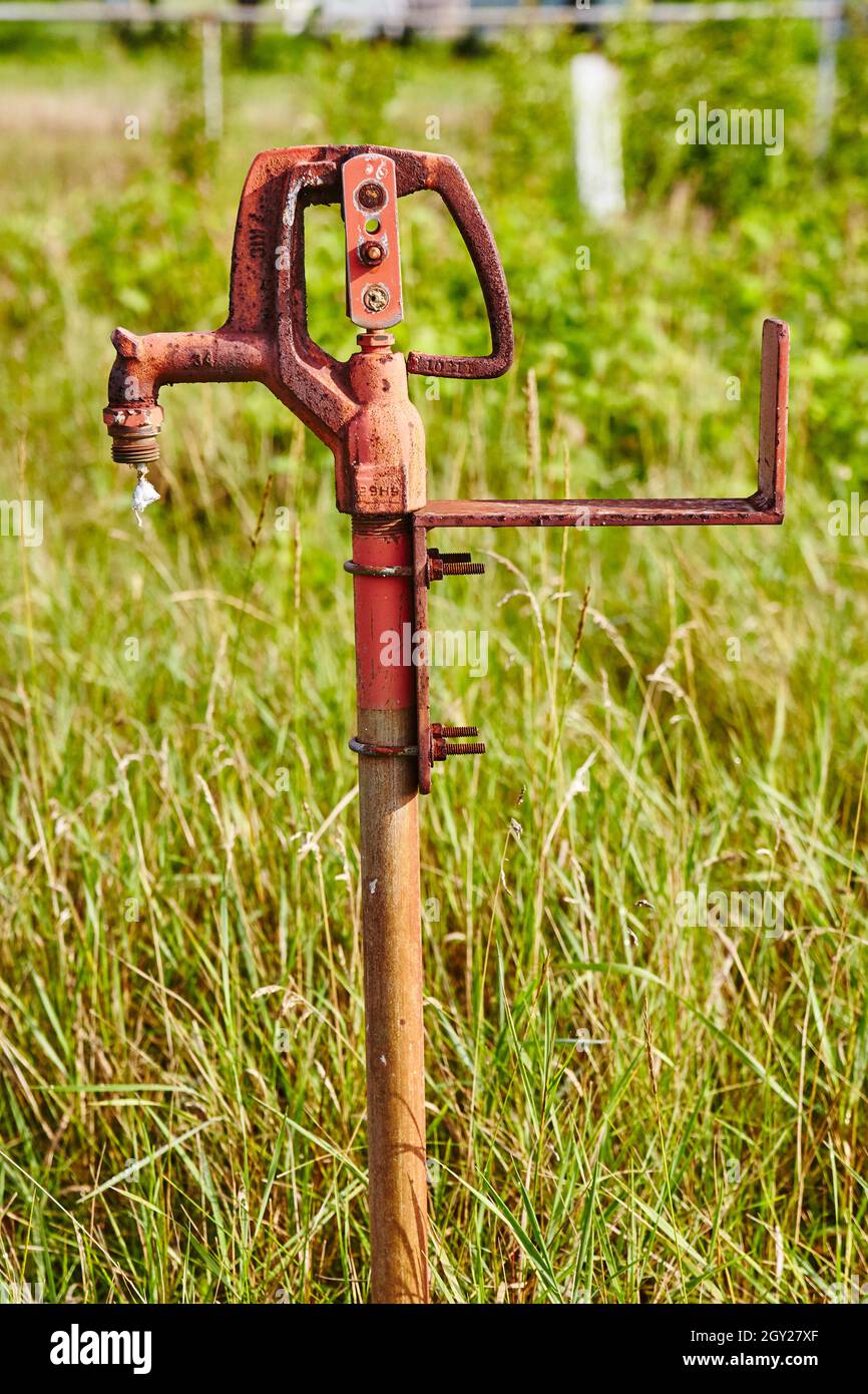 Rusted orange water spigot in wild tall grasses Stock Photo - Alamy