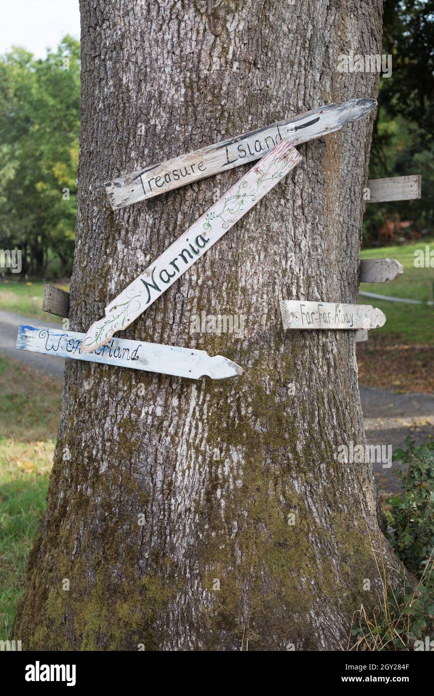 A tree with directional signs nailed to it, pointing to different ...