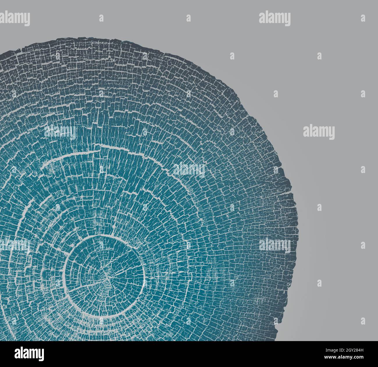 Deep blue photo of detailed cut tree slice with rings and organic ...