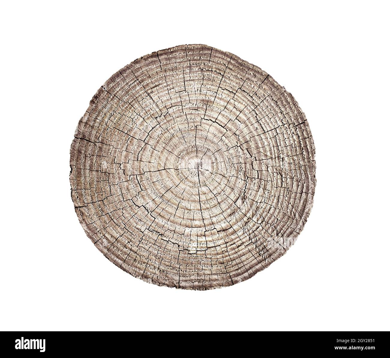 Photo realistic earth hi-res stock photography and images - Alamy