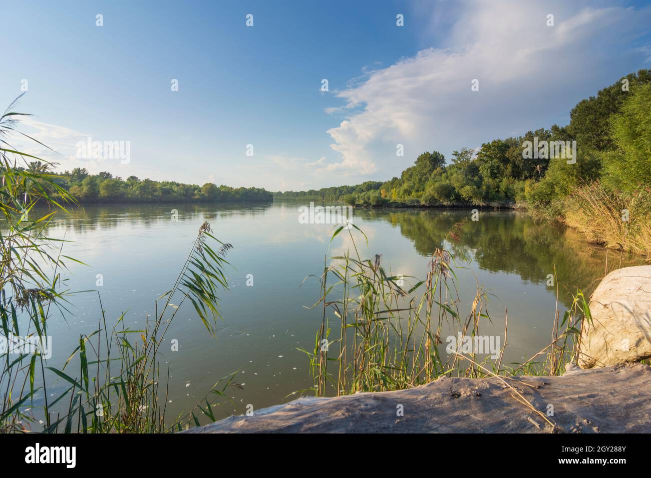 Zitny ostrov (Great Rye Island, Große Schüttinsel): oxbow lake ...