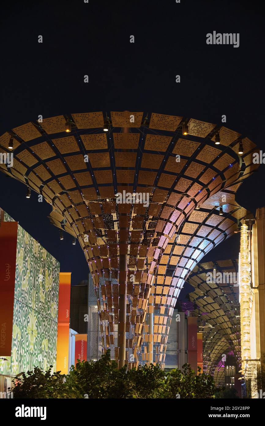 Patterned metallic mushroom shaped supertrees in the Opportunity ...