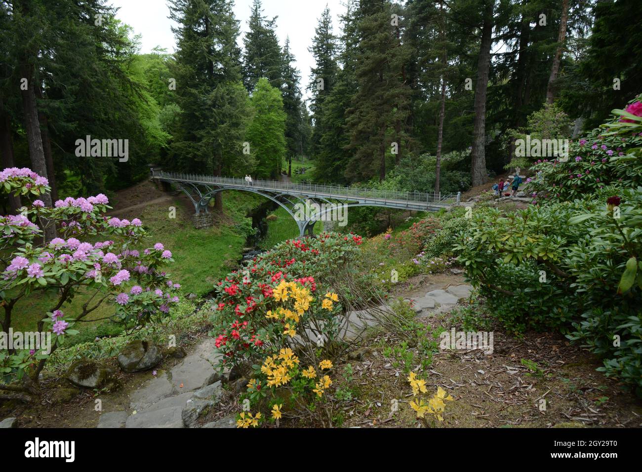 Bridge at Cragside Northumberland National Trust Stock Photo - Alamy
