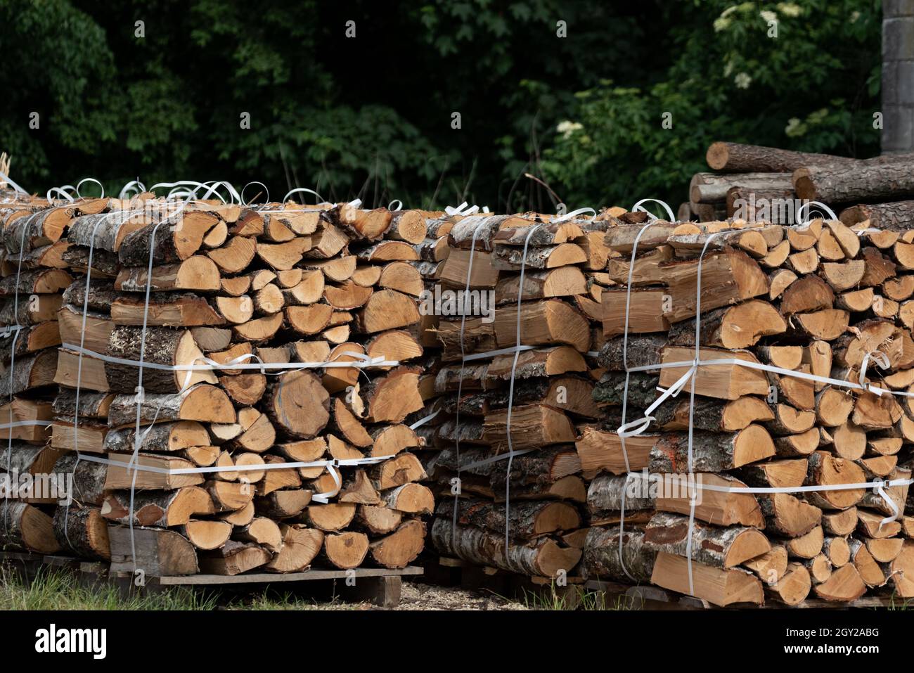 Azobe wood hi-res stock photography and images - Alamy