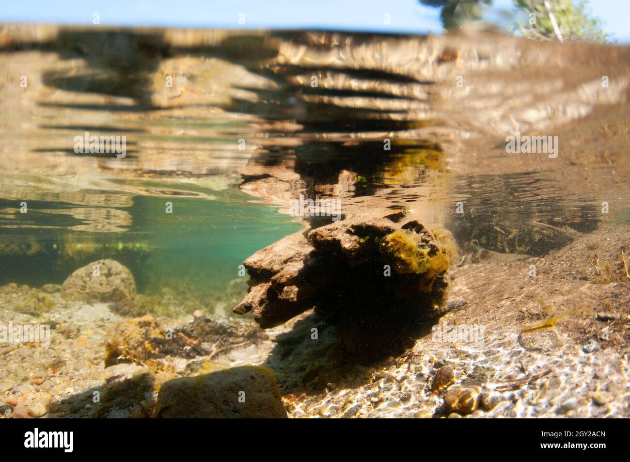 Shallow underwater view of rocks in a creek, Lassen Volcanic National ...
