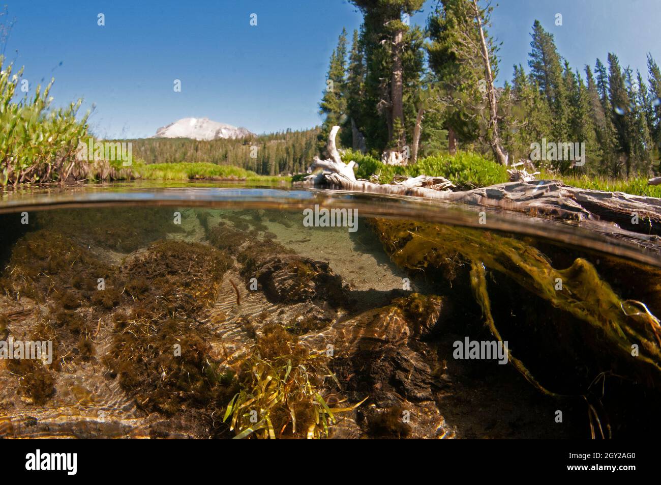 Shallow underwater view of rocks in a creek and Mount Lassen, Lassen ...