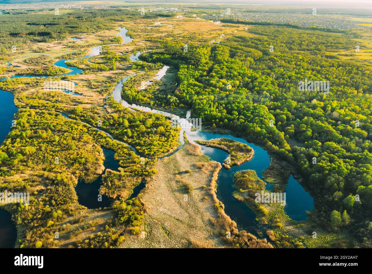 Aerial View Green Forest Woods And River Landscape In Sunny Spring ...