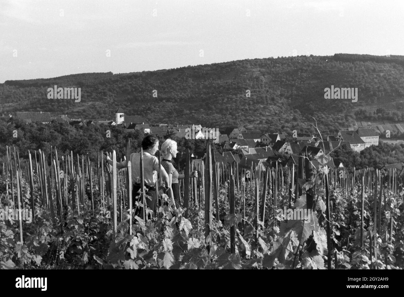 Ein Ausflug in die Weinstadt Schnait, Deutschland 1930er Jahre. A trip ...