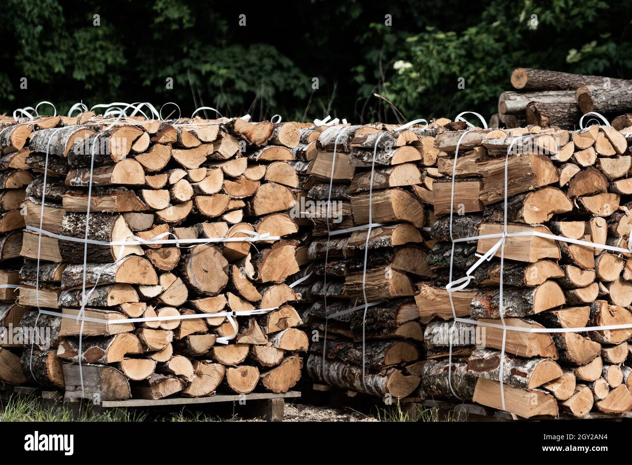 Firewood stacked for outdoor drying. Drying wood for the fireplace ...