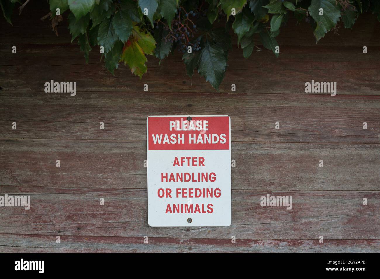 A sign on the side of a barn that reads "please was hands after ...