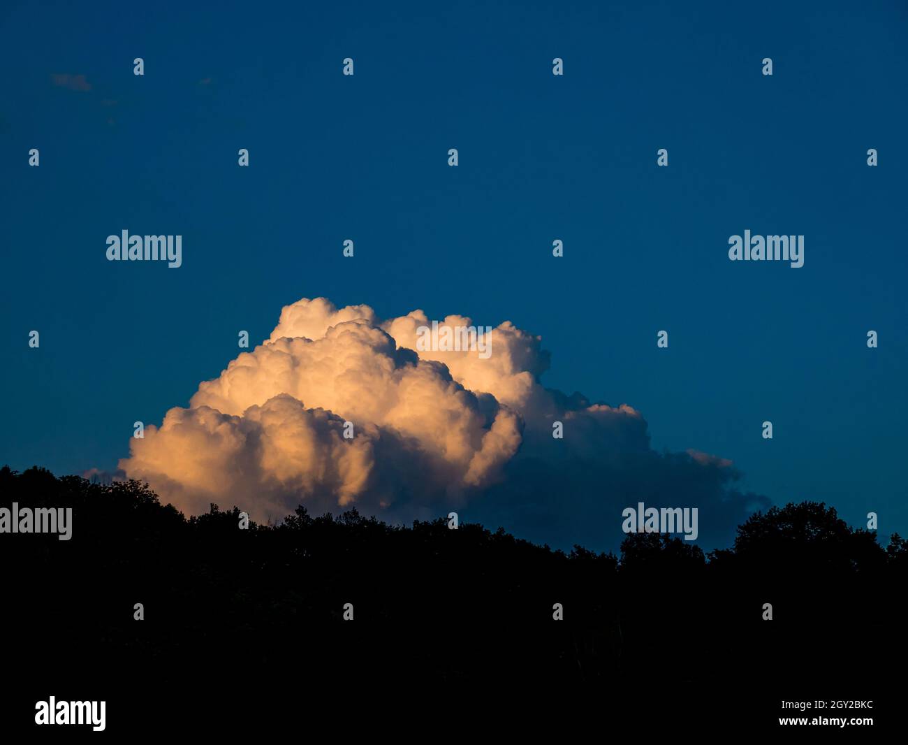 Cloud over the horizon with a dark outline of the treetops on the ...