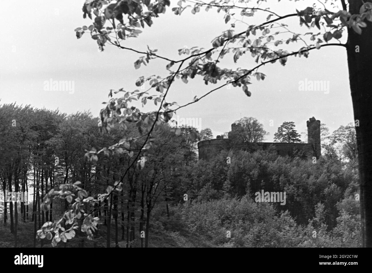 Ein Ausflug zum Auerbacher Schloss, Deutsches Reich 1930er Jahre. An ...