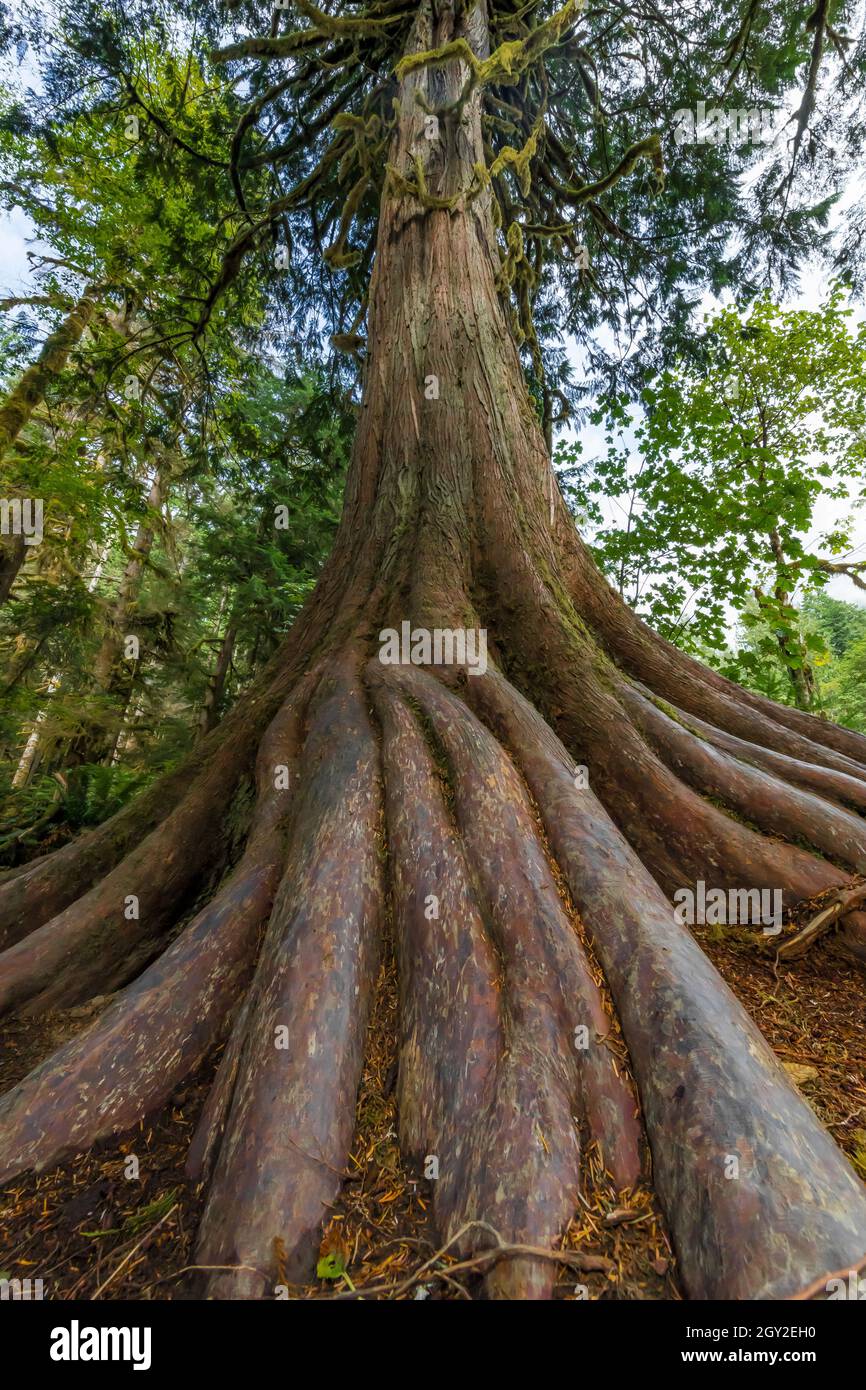 Staircase rapids loop trail hi-res stock photography and images - Alamy