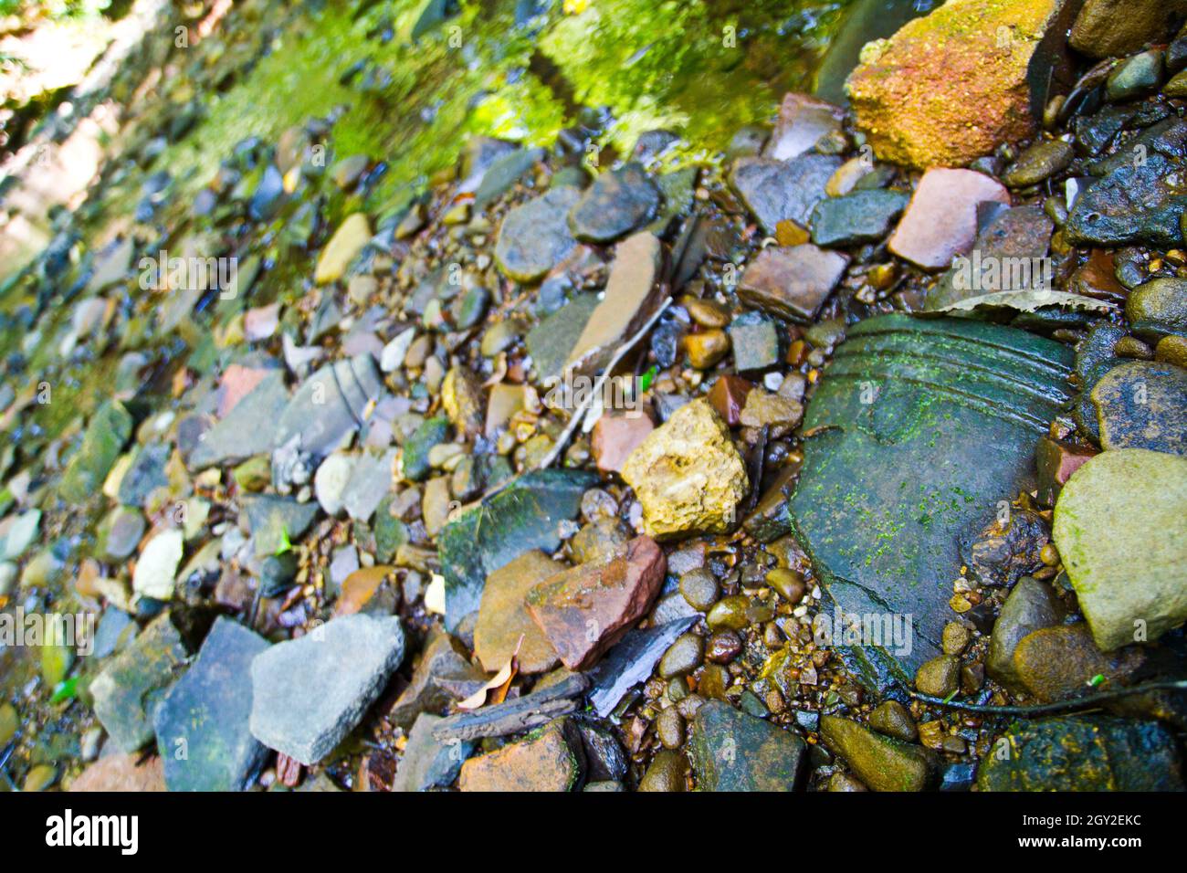 Exposed rocky river bed and bank Stock Photo - Alamy