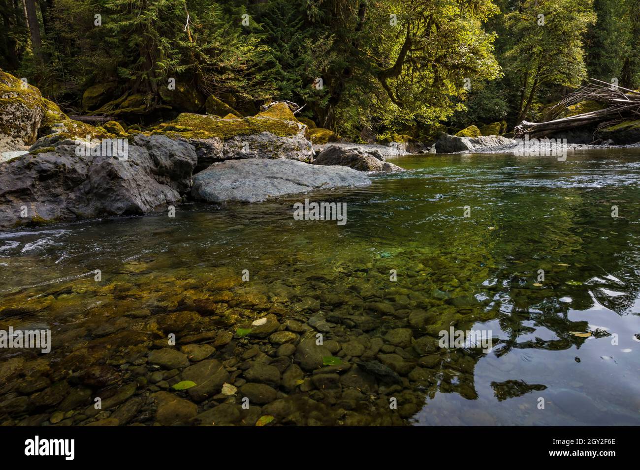 Moss-covered rocks along the North Fork Skokomish River at Staircase in ...
