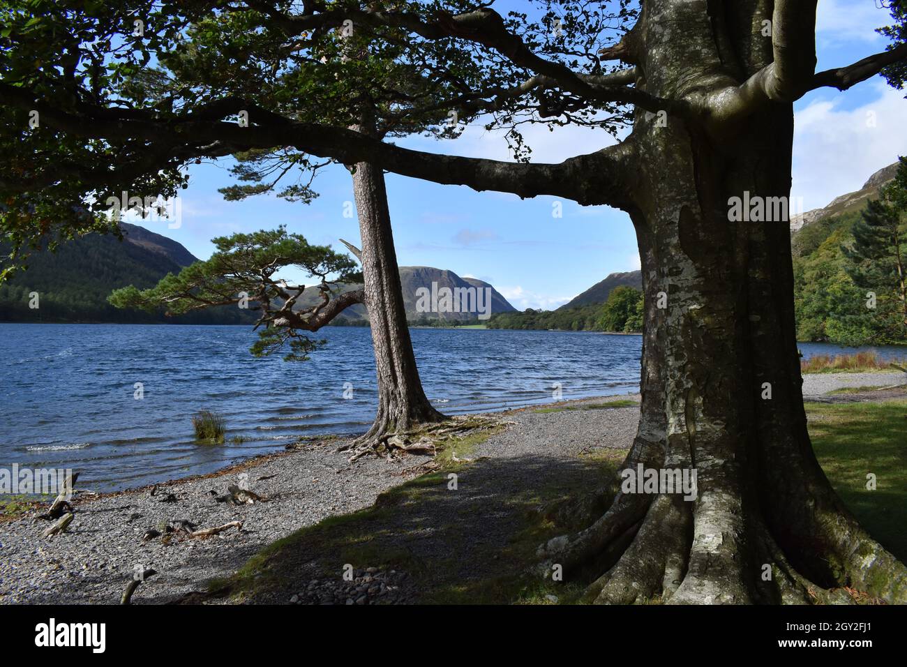 Shoreline lakeshore park hi-res stock photography and images - Alamy