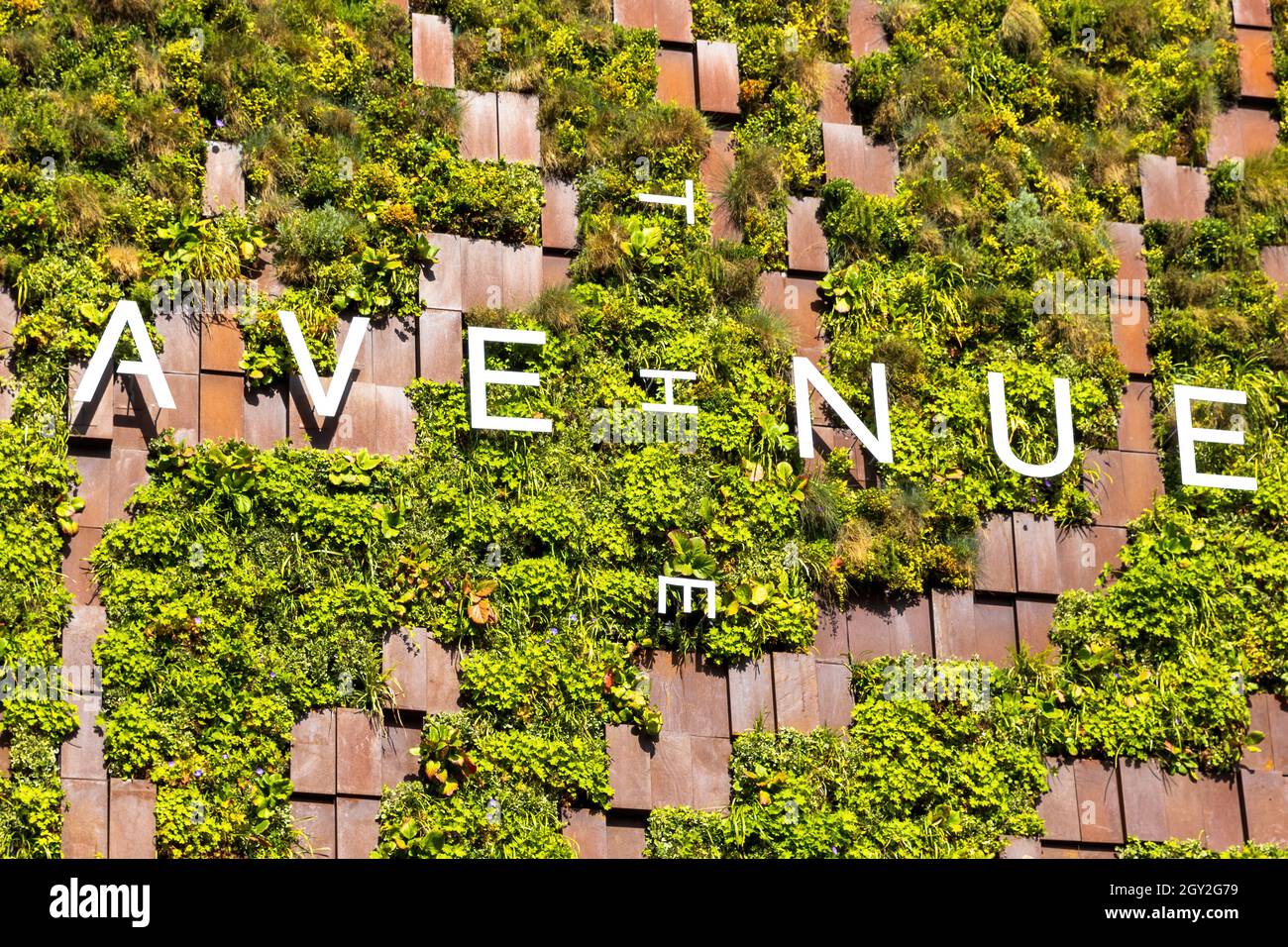 The green wall display at The Avenue Shopping Centre - Bournemouth UK ...