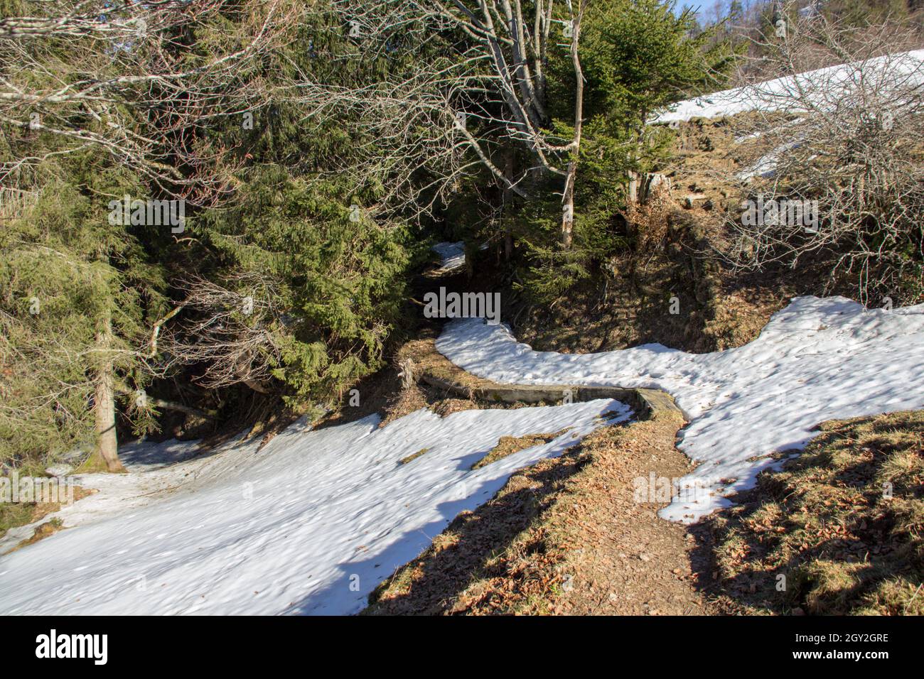 Goldingen hi-res stock photography and images - Alamy