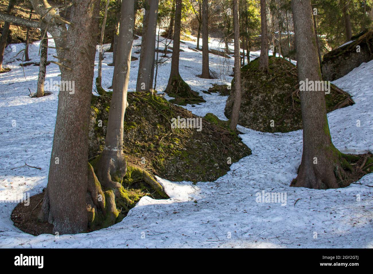 Goldingen switzerland hi-res stock photography and images - Alamy