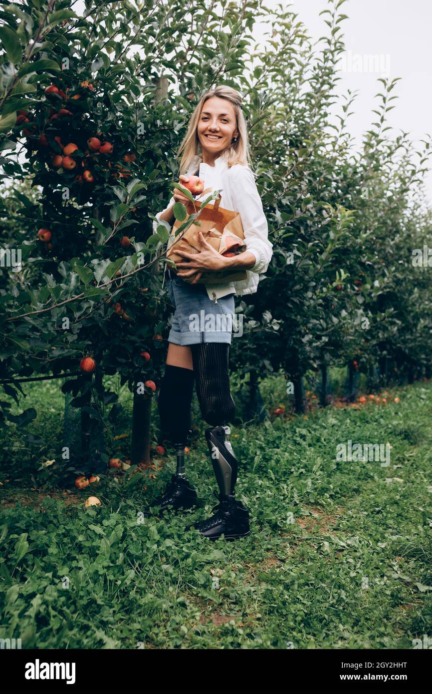 Disabled woman without legs picks apples Stock Photo - Alamy